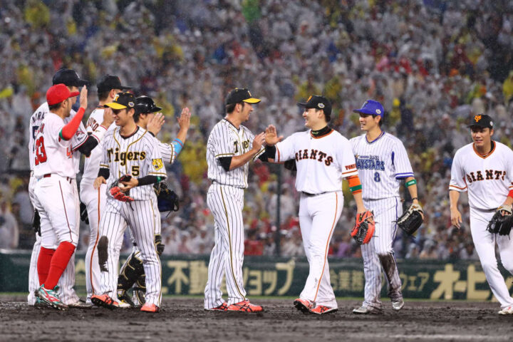 A Guide to Japanese Baseball Leagues: Understanding the NPB and its ...