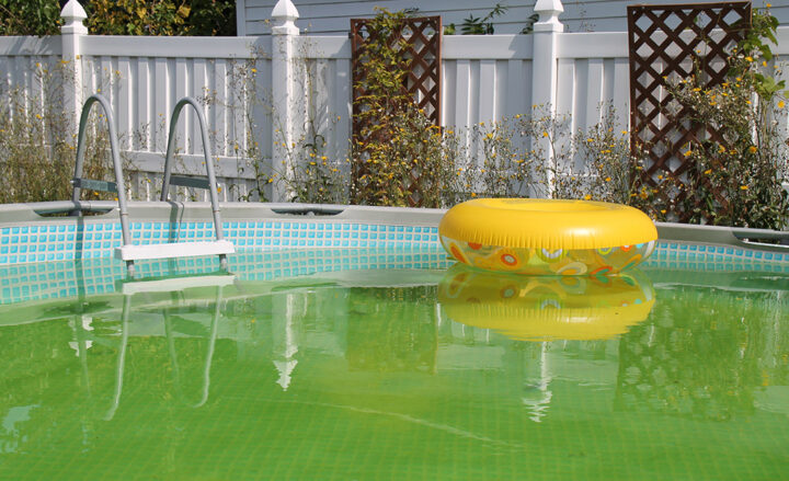 Chemical-Free Pool Revival: Tips on How to Clean a Green Pool Naturally ...