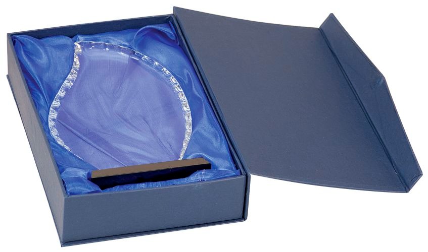 Trophy Display Ideas for Events and Offices - Lockerz